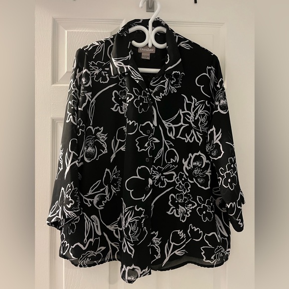 Tan Jay | Tops | Beautiful Sheer Tanjay Bottom Up Blouse | Poshmark